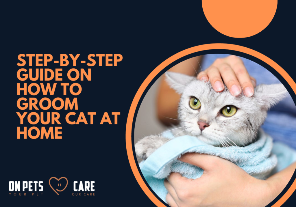 How To Groom Your Cat At Home | Cat Grooming Tools