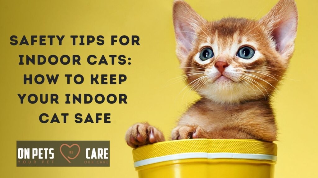 Best Safety Tips For Indoor Cats | Safe Your Furry Friend