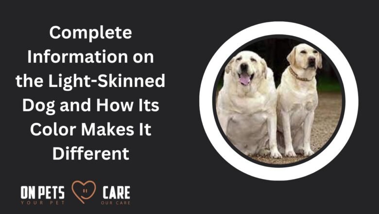 Complete Information On The Light Skinned Dog | Explore Now